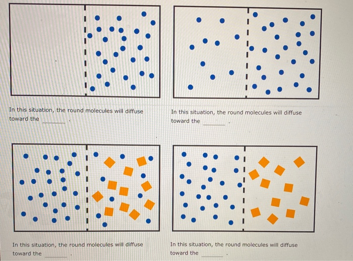 Solved In diffusion, molecules naturally move from an area | Chegg.com