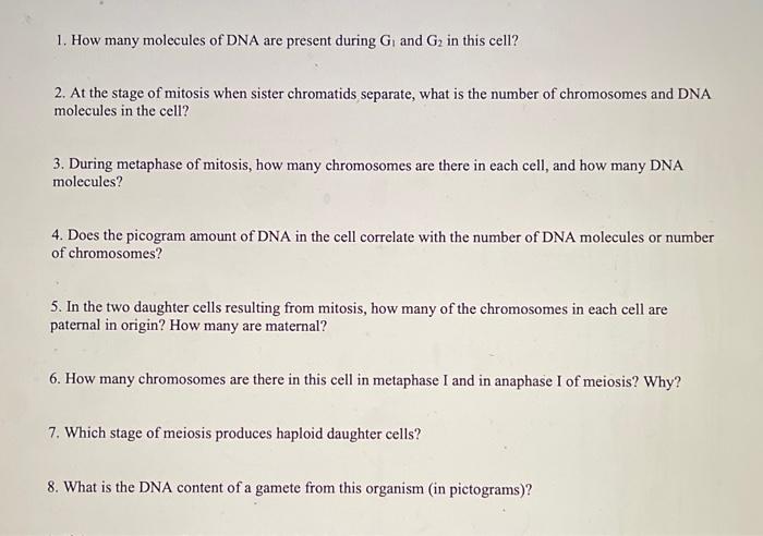 Solved 1. How many molecules of DNA are present during G1 | Chegg.com