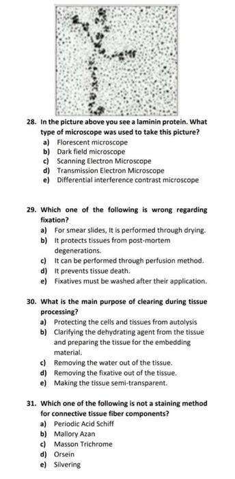 Solved 28. In the picture above you see a laminin protein. | Chegg.com