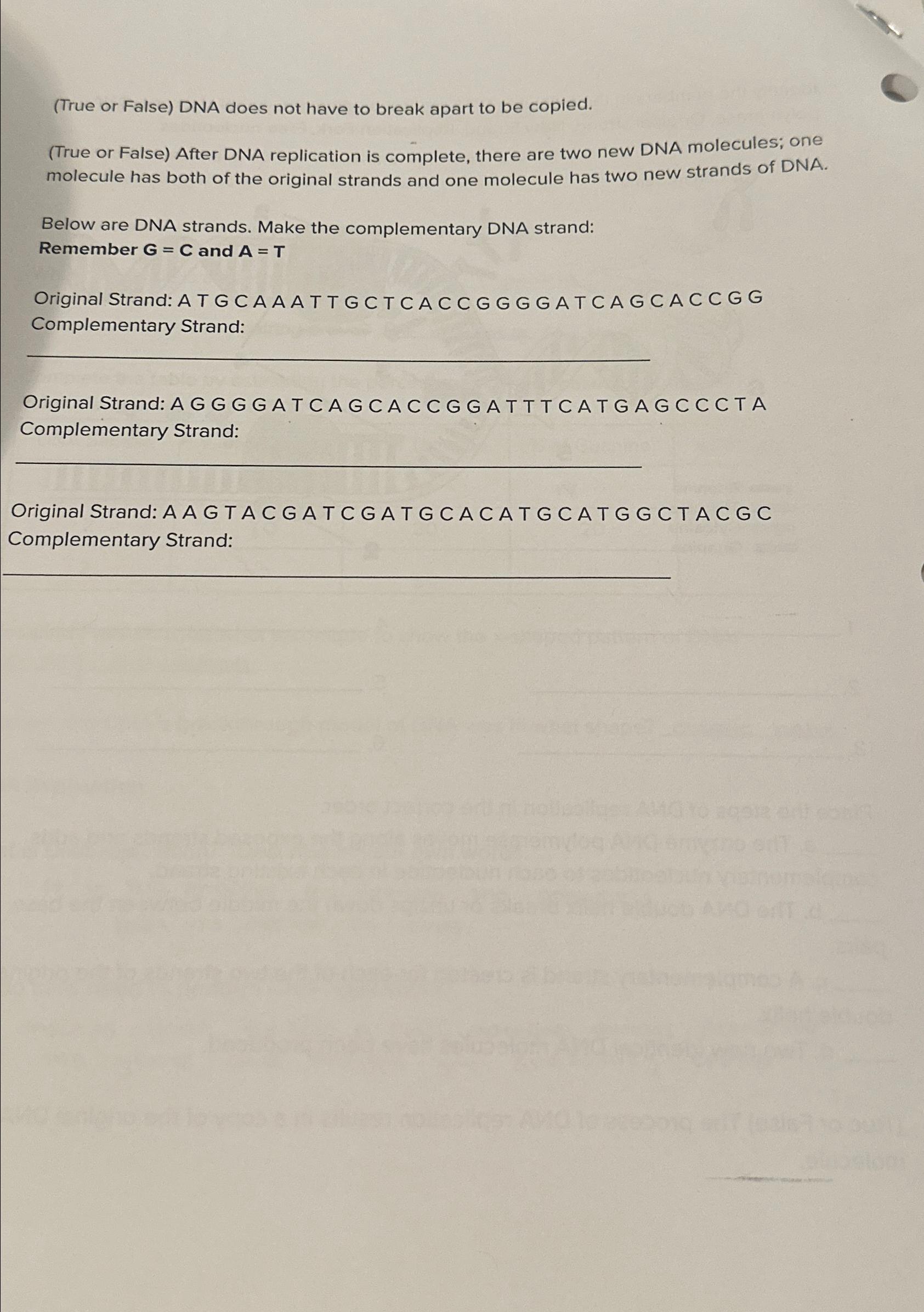 Solved (True or False) ﻿DNA does not have to break apart to | Chegg.com