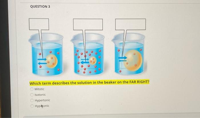 Solved QUESTION 1 X ollo Which term describes the solution | Chegg.com