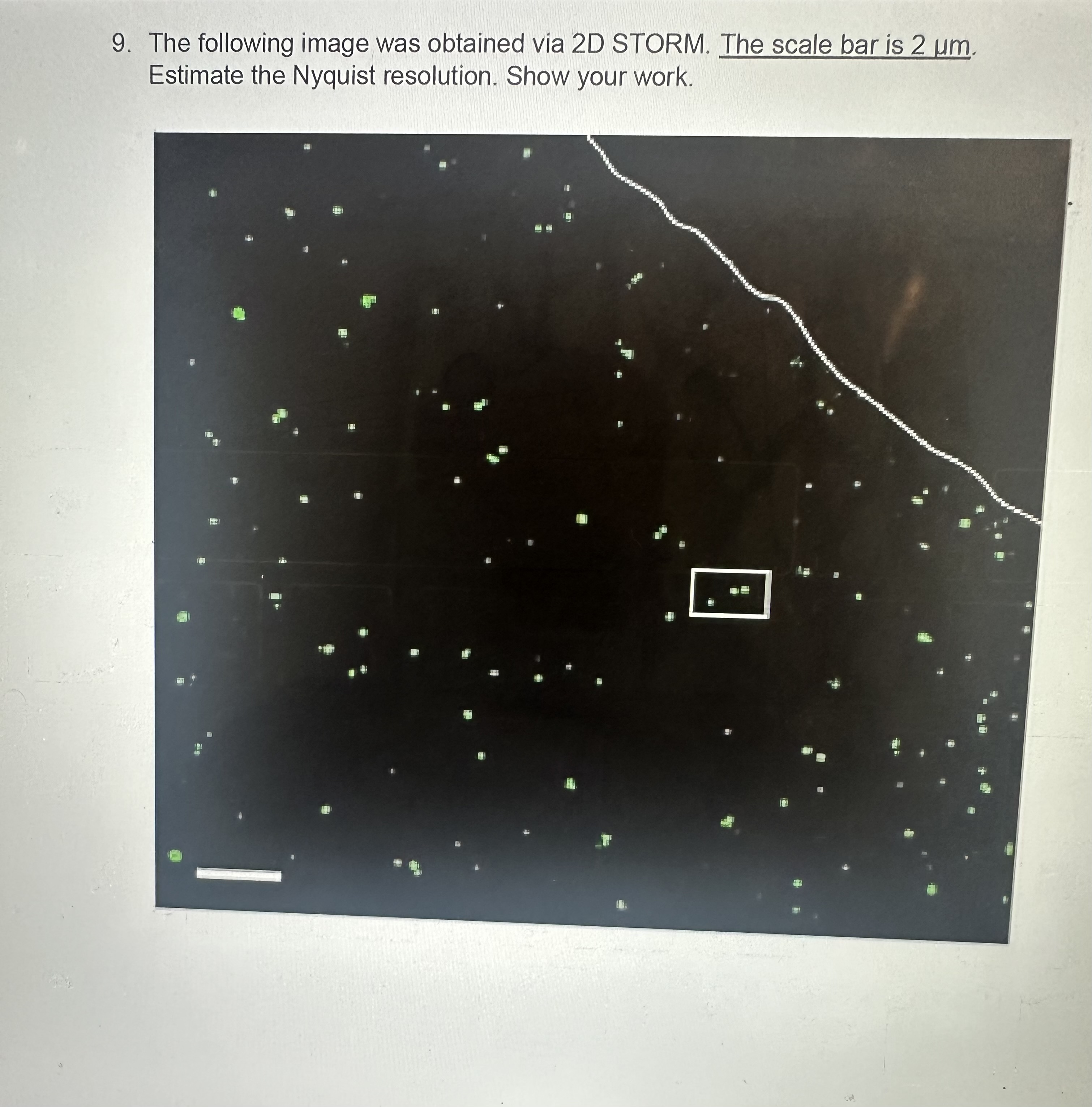 Solved The following image was obtained via 2D STORM. The | Chegg.com