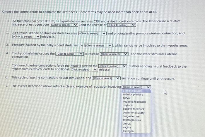 Solved Choose the correct terms to complete the sentences. | Chegg.com