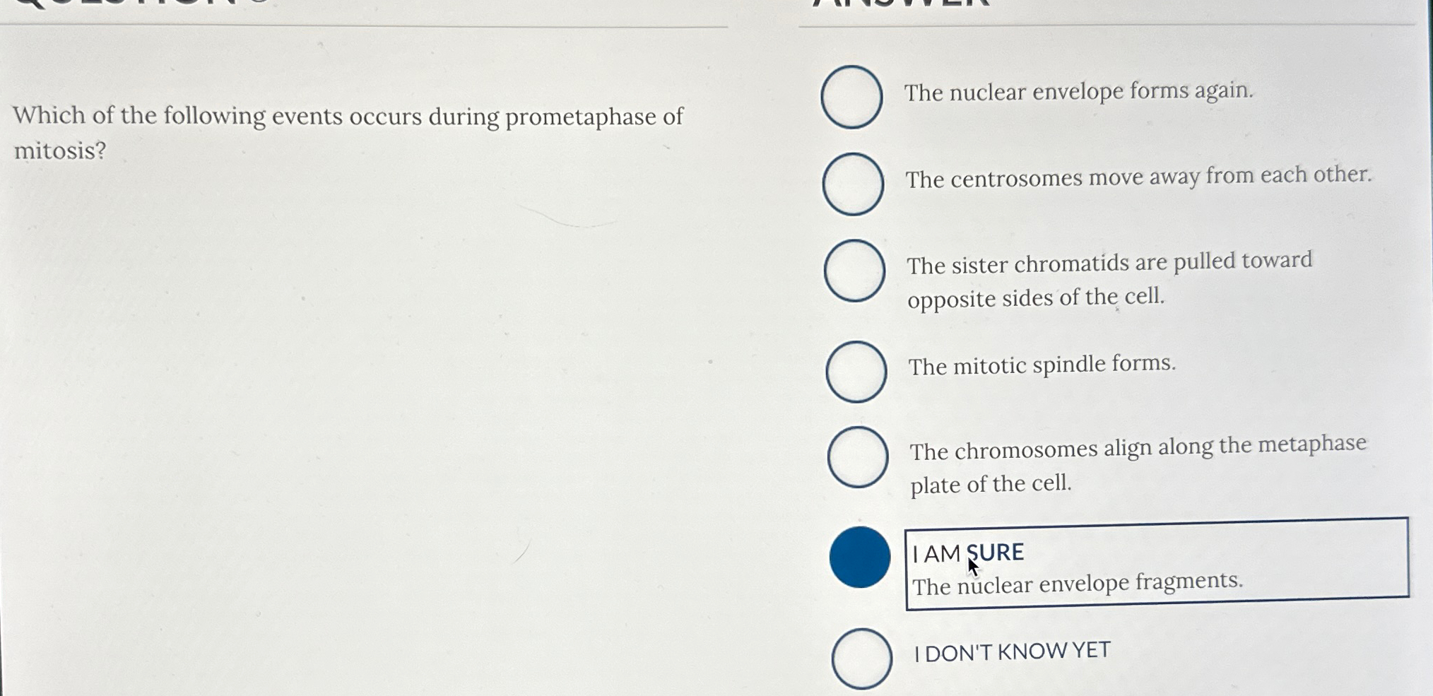 Solved Which of the following events occurs during | Chegg.com