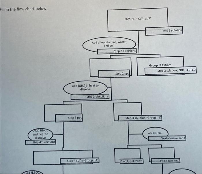Solved complete the ion flow chart by filling in each blank | Chegg.com