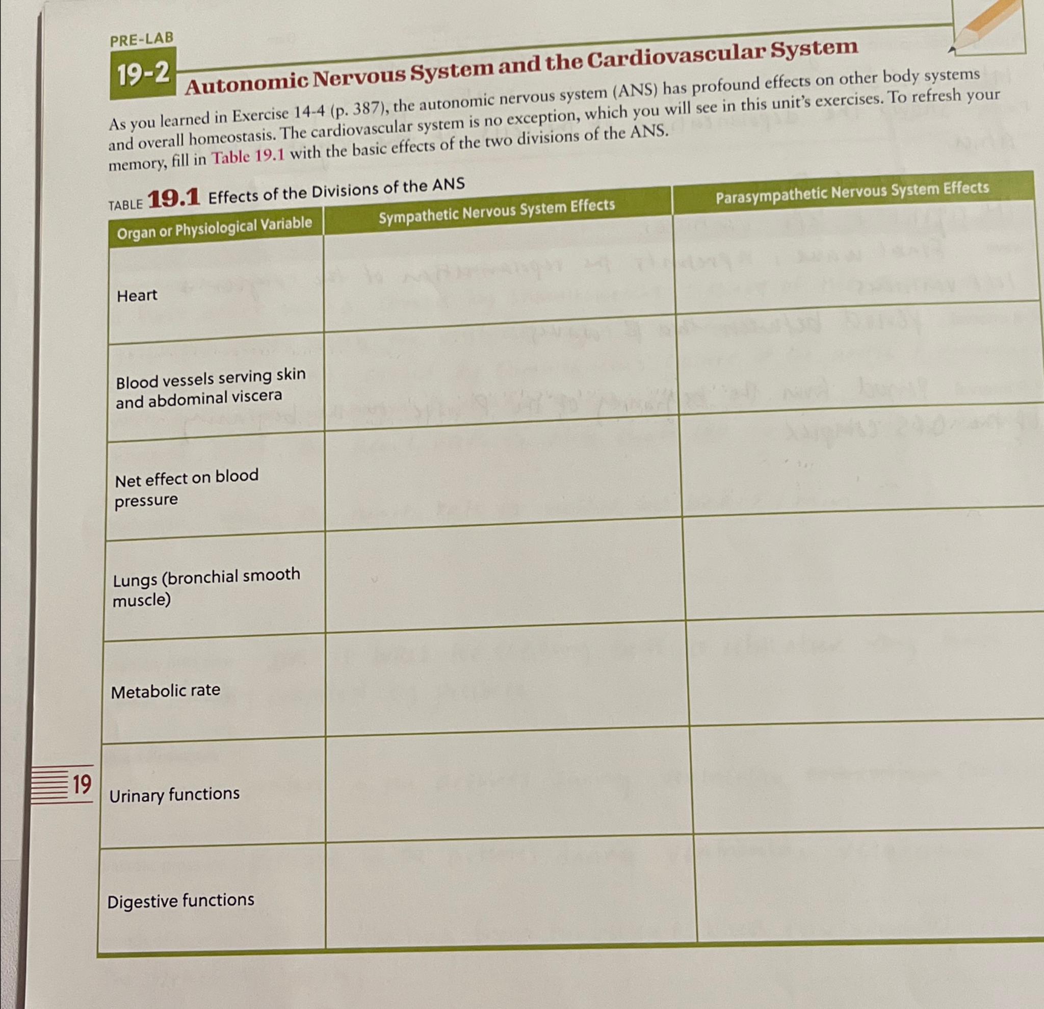 Solved PRE-LAB19-2Autonomic Nervous System and the | Chegg.com