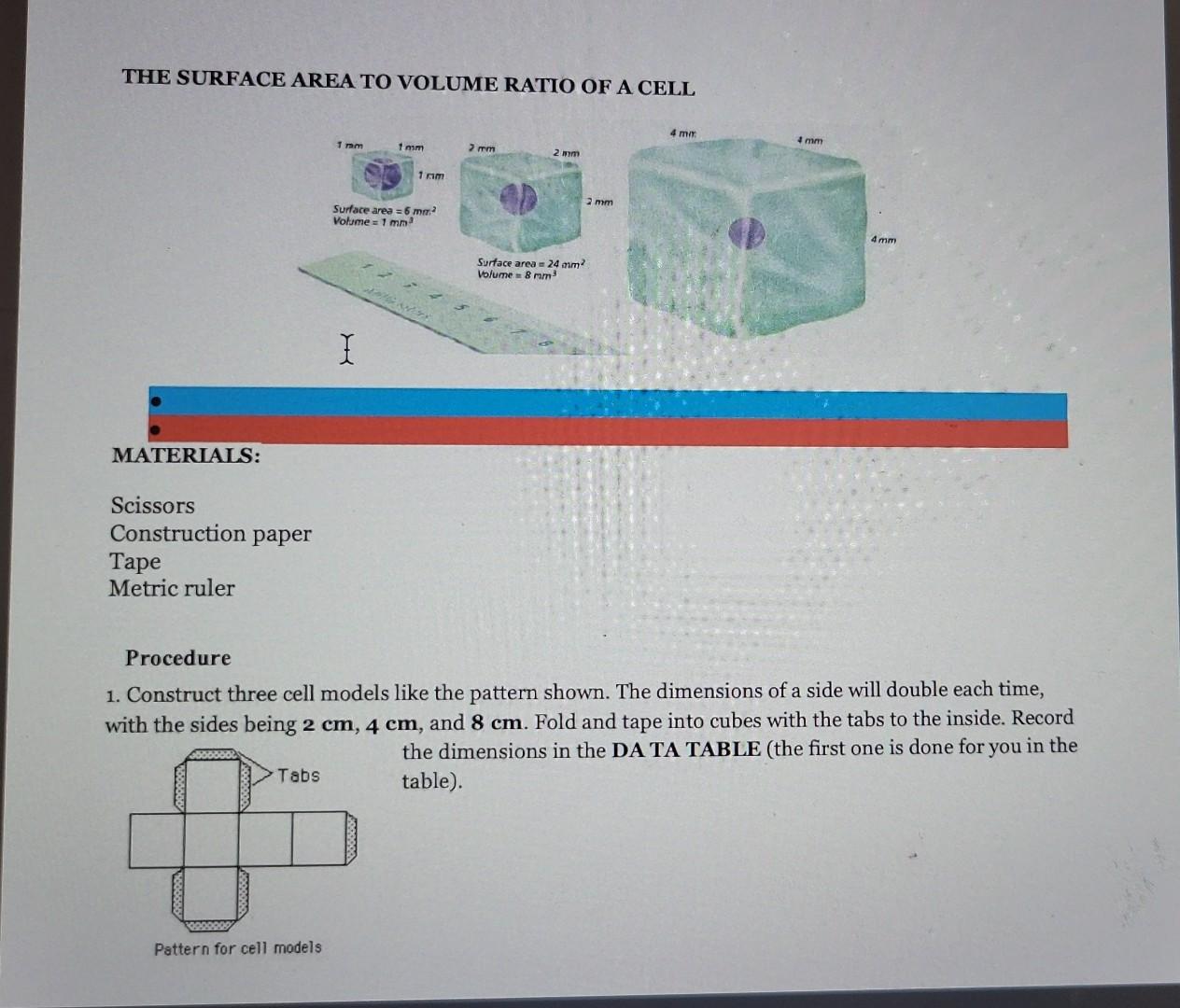 Solved THE SURFACE AREA TO VOLUME RATIO OF A CELL MATERIALS: | Chegg.com