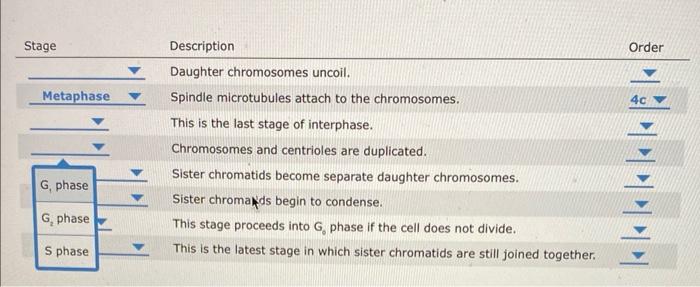 Solved The following table describes the life cyde of a | Chegg.com