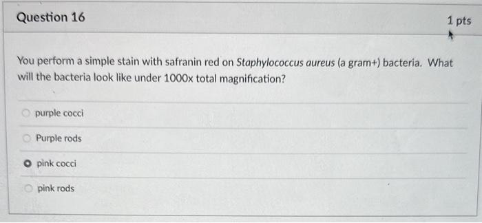 Solved You perform a simple stain with safranin red on | Chegg.com