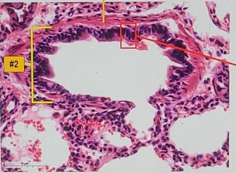 Solved #2 #1 w #2 | Chegg.com