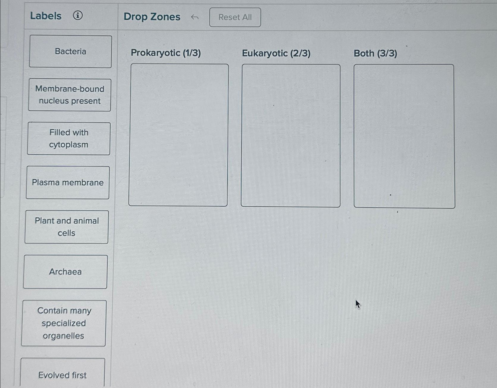 Solved Labels(i)Drop ZonesProkaryotic (1/3)Eukaryotic | Chegg.com