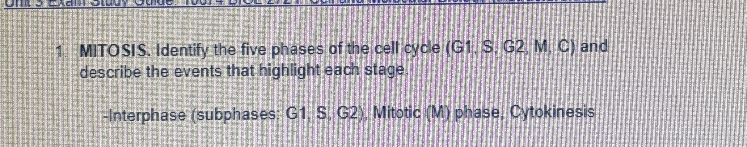 Solved MITOSIS. Identify the five phases of the cell cycle | Chegg.com