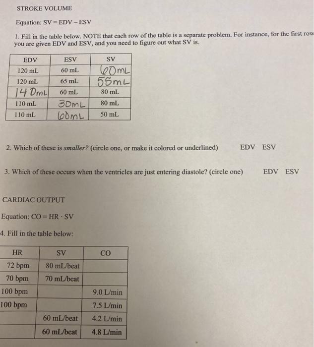 Solved STROKE VOLUME Equation: SV EDV-ESV 1. Fill in the | Chegg.com