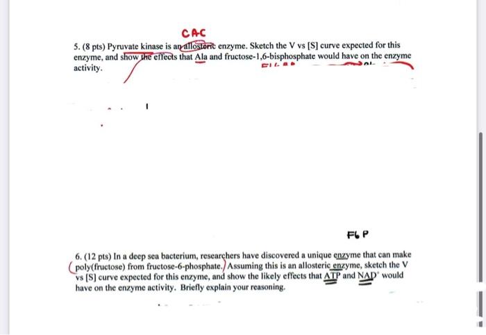 Solved 5. (8 pts) Pyruvate kinase is anallosterit enzyme. | Chegg.com