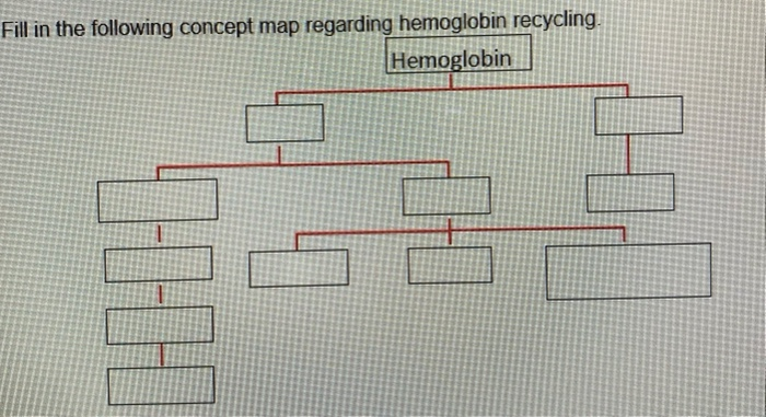 Solved Fill in the following concept map regarding | Chegg.com