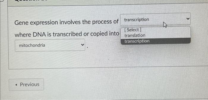 Solved Gene expression involves the process of where DNA is | Chegg.com