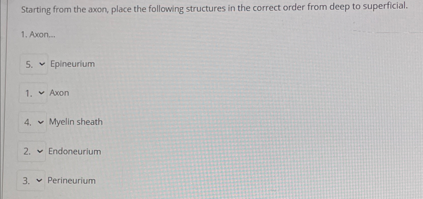 Solved Starting from the axon, place the following | Chegg.com