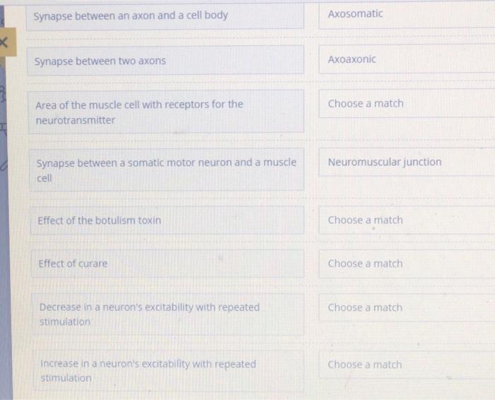 Solved Synapse between an axon and a cell body Axosomatic | Chegg.com