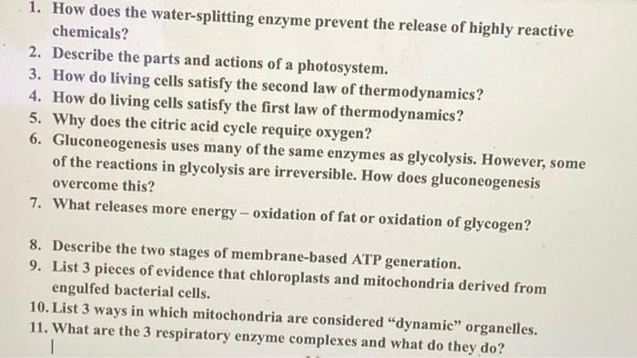 Solved 1. How does the water-splitting enzyme prevent the | Chegg.com