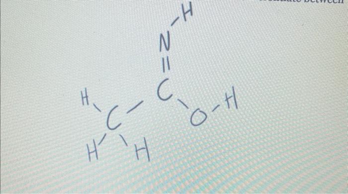 Solved In a piece of paper show the hydrogen bonds that can | Chegg.com