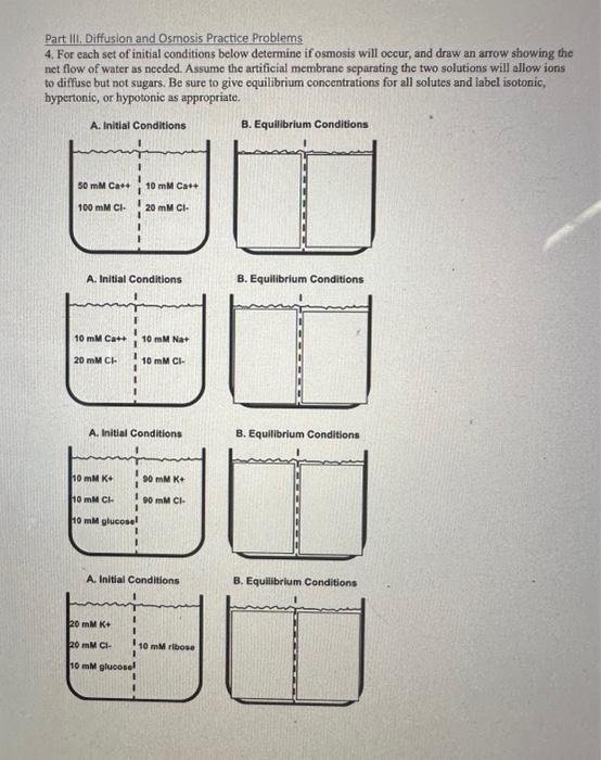 Solved Part III. Diffusion and Osmosis Practice Problems and | Chegg.com
