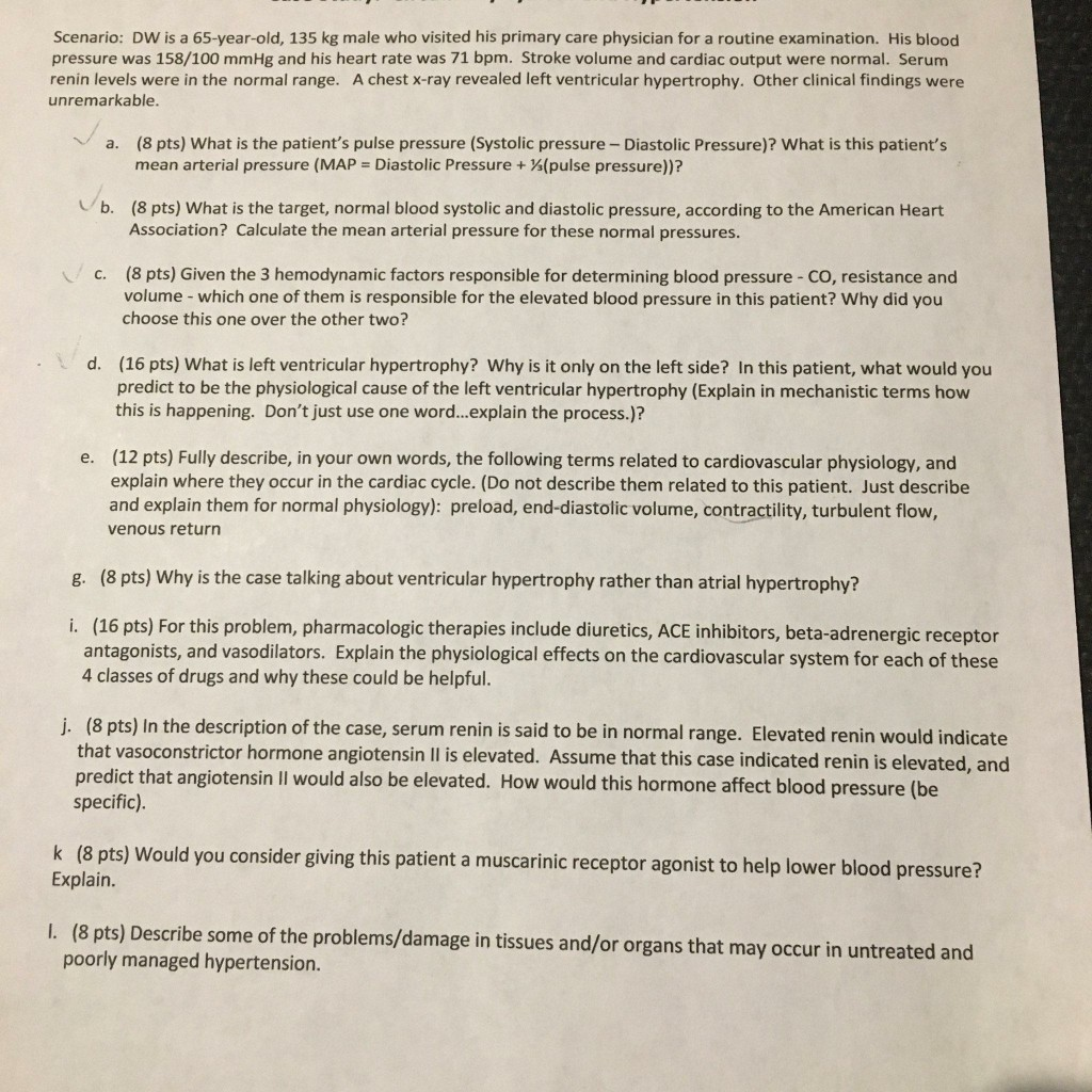 Solved Case Study Circulatory System and Hypertension Case | Chegg.com