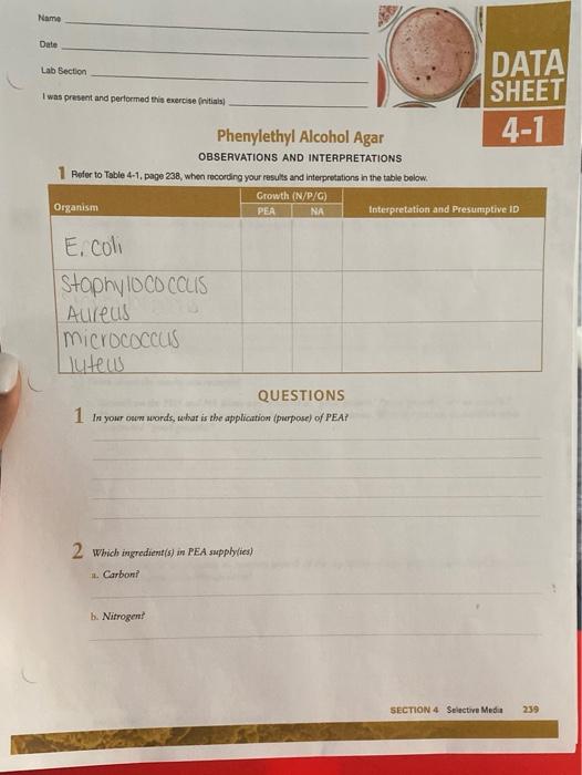 Solved Name Date Lab Section I was present and performed | Chegg.com