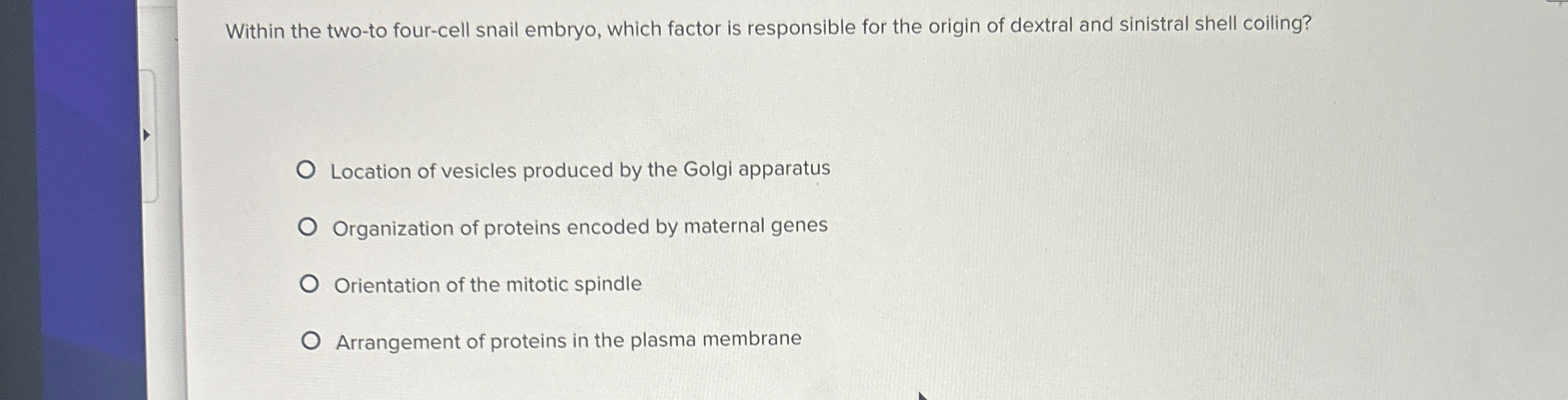 Solved Within the two-to four-cell snail embryo, which | Chegg.com