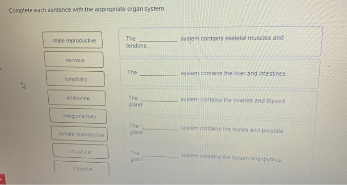 Solved Complete each sentence with the appropriate organ | Chegg.com