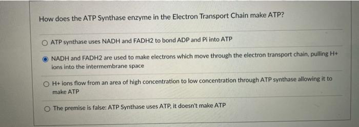 Solved How does the ATP Synthase enzyme in the Electron | Chegg.com