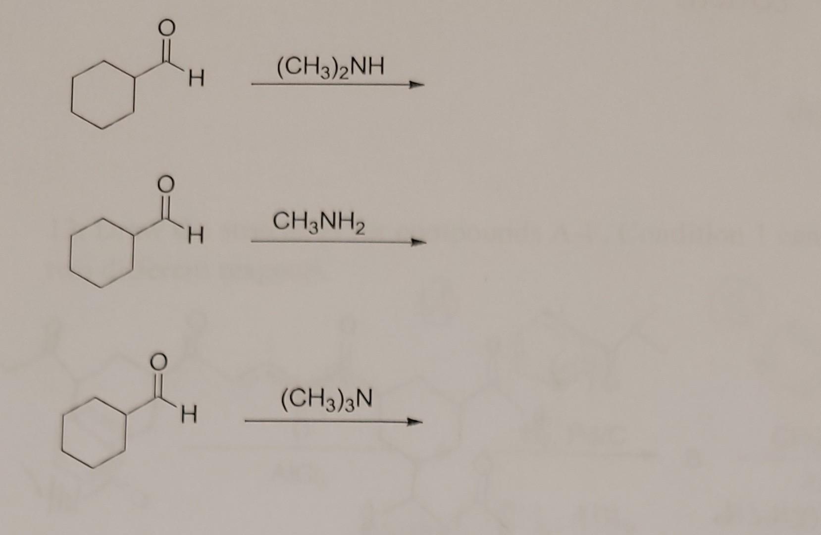 Solved o (CH3)2NH H O os CH3NH2 H (CH3)3N H | Chegg.com