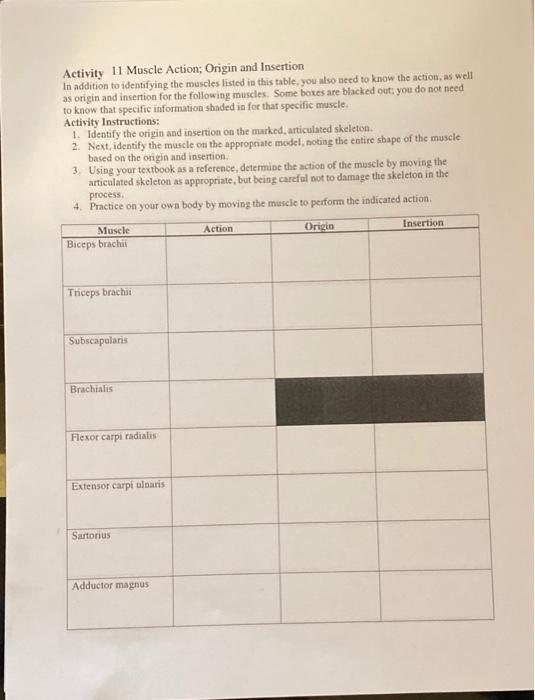 Solved Activity 11 Muscle Action: Origin and Insertion In | Chegg.com