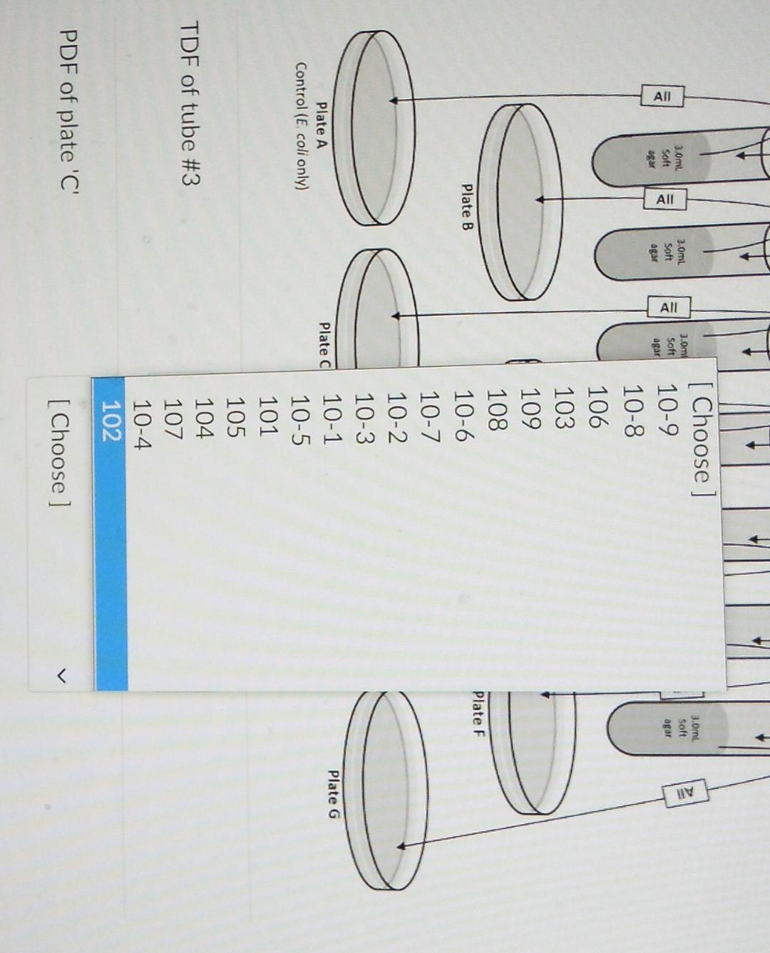 What is the total dilution factor (TDF) of tube \#3 | Chegg.com