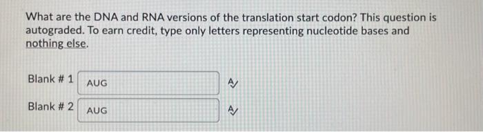 Solved What are the DNA and RNA versions of the translation | Chegg.com