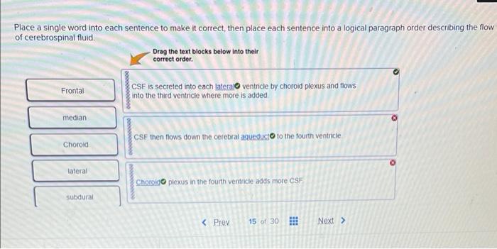 Solved Place a single word into each sentence to make it | Chegg.com