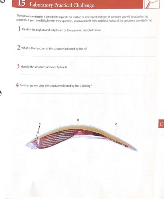 Solved 15 Laboratory Practical Challenge The following | Chegg.com