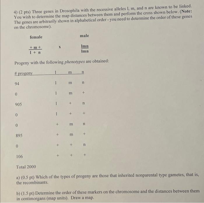Solved 4) (2 pts) Three genes in Drosophila with the | Chegg.com
