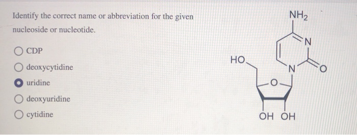 Solved NH2 Identify the correct name or abbreviation for the | Chegg.com