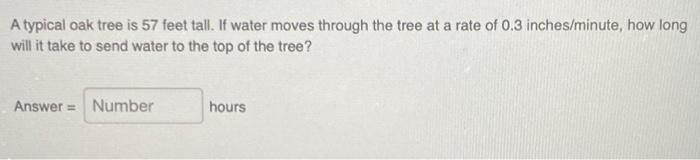 Solved A typical oak tree is 57 feet tall. If water moves | Chegg.com