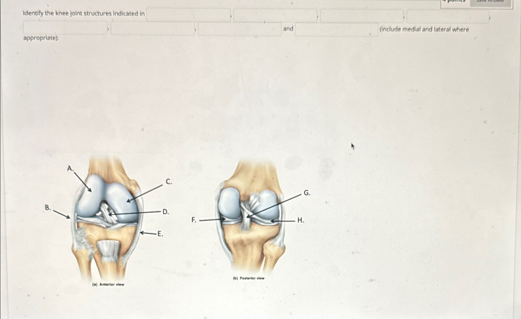 Solved Identify the knee joint structures indicated | Chegg.com