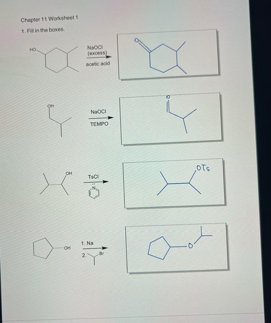Solved Chapter 11 Worksheet 1 1. Fill in the boxes. b. 4. | Chegg.com