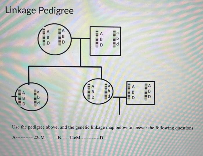 Solved Linkage Pedigree Use the pedigree above, and the | Chegg.com