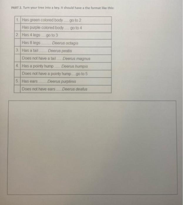 Solved DICHOTOMOUS KEY LAB FOR PROTISTA Build a dichotomous | Chegg.com