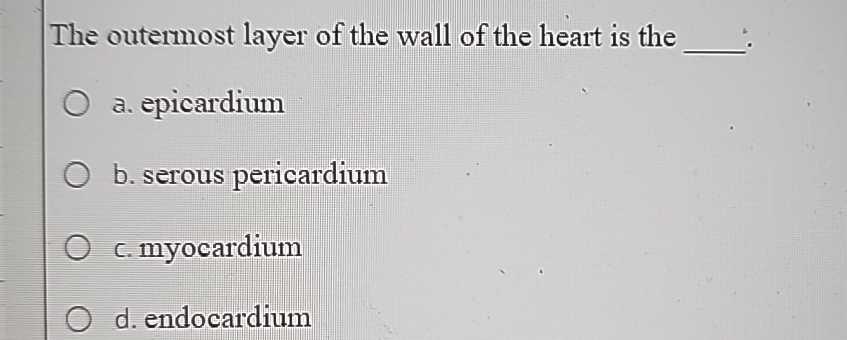 Solved The outermost layer of the wall of the heart is thea. | Chegg.com