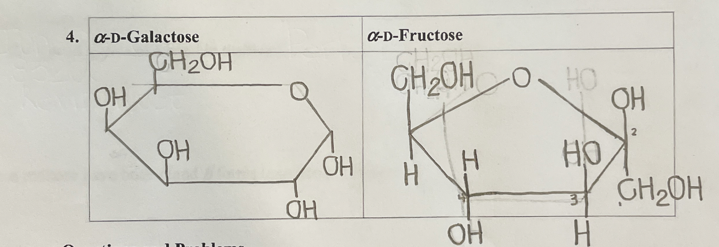 Solved Draw the Haworth (cyclic) structures for the alpha | Chegg.com