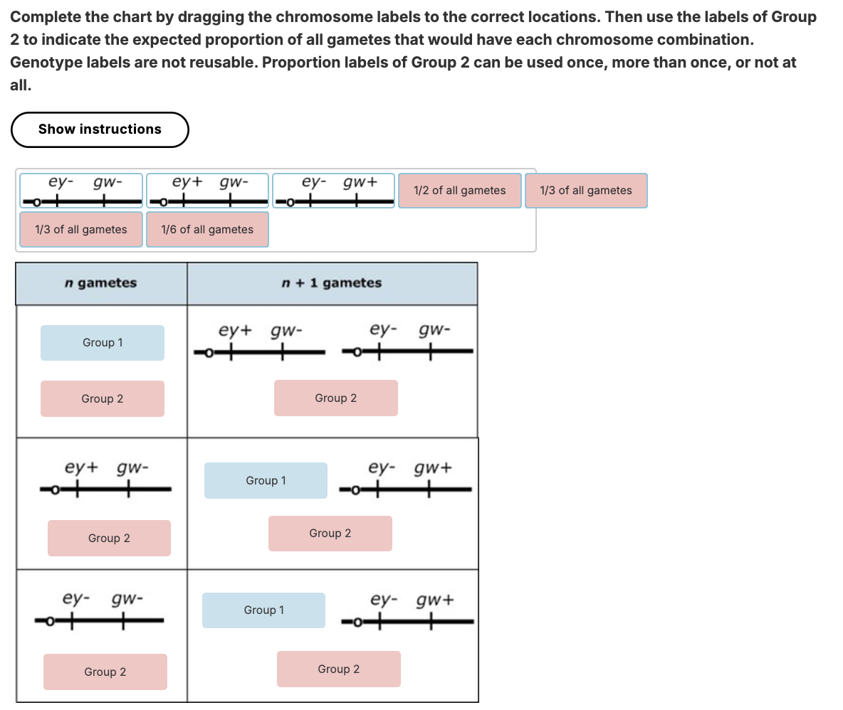 Solved Complete the chart by dragging the chromosome labels | Chegg.com