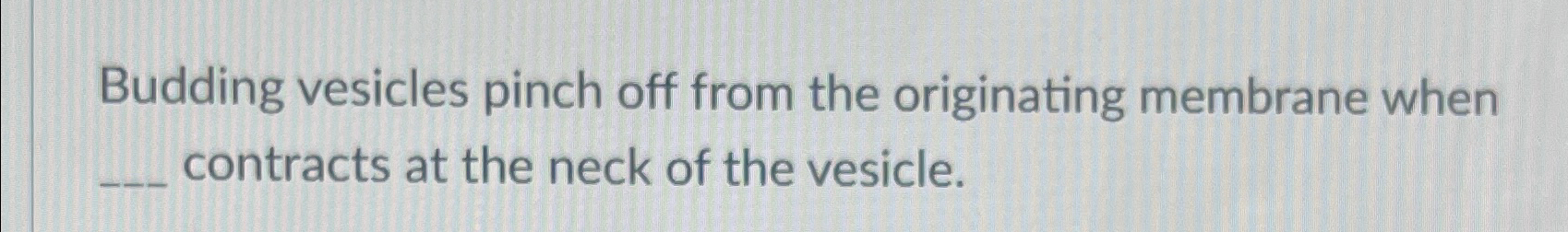 Solved Budding vesicles pinch off from the originating | Chegg.com
