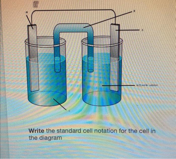 Solved Write the standard cell notation for the cell in the | Chegg.com
