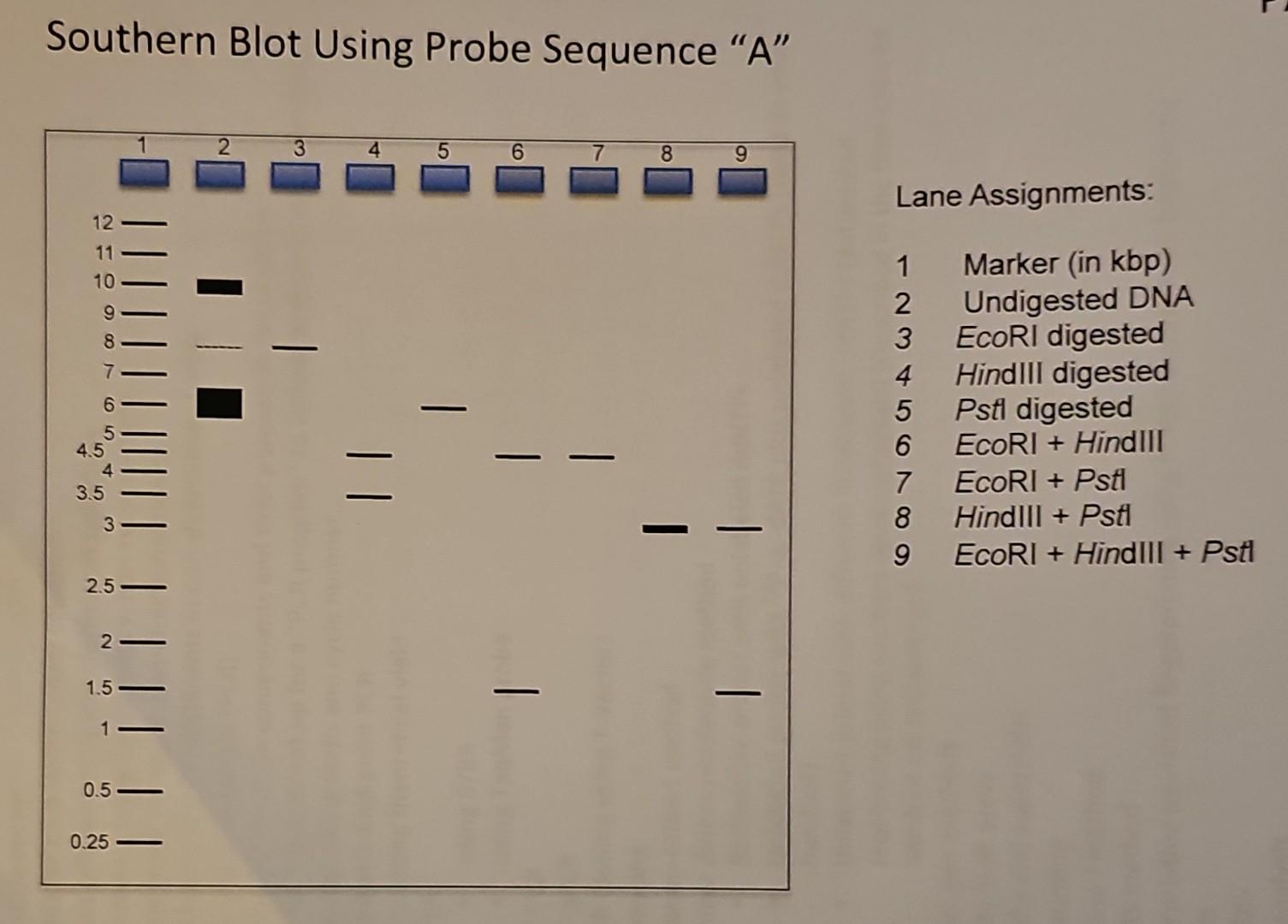 Solved (20 points) The attached figures represent an | Chegg.com