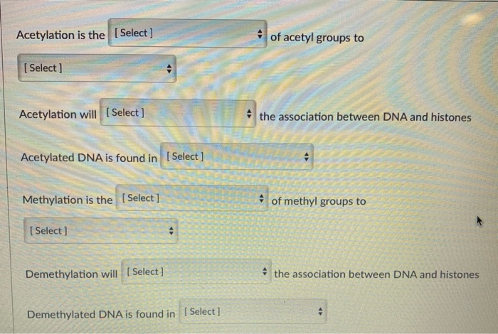 Solved Acetylation is the [Select] • of acetyl groups to | Chegg.com